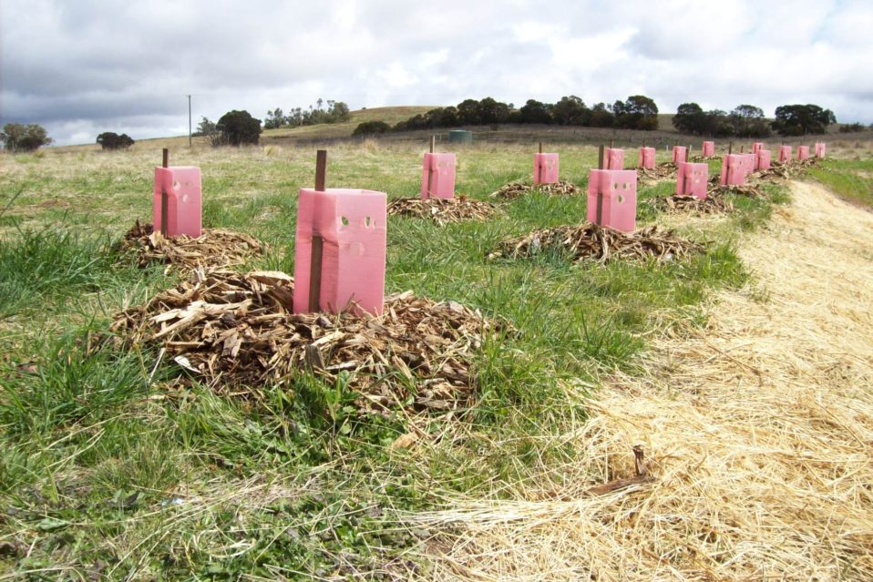 8 ways to manage run-off and control erosion on horse properties ...
